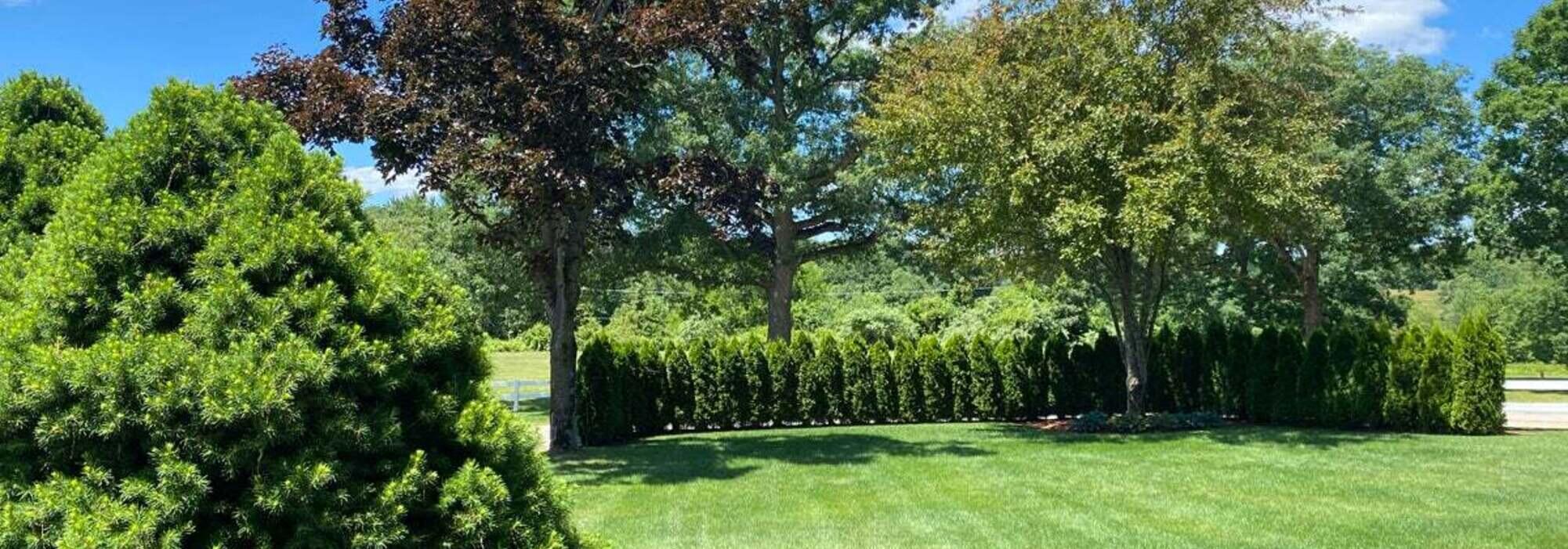 Award Winning Restaurant, Affordable Wedding Venue and Event Location ...